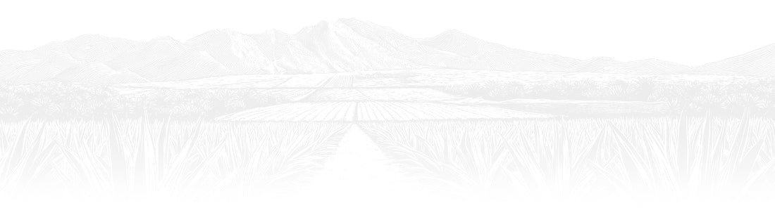 Plata Platinium México sombrero – Don Ramon Personalizado